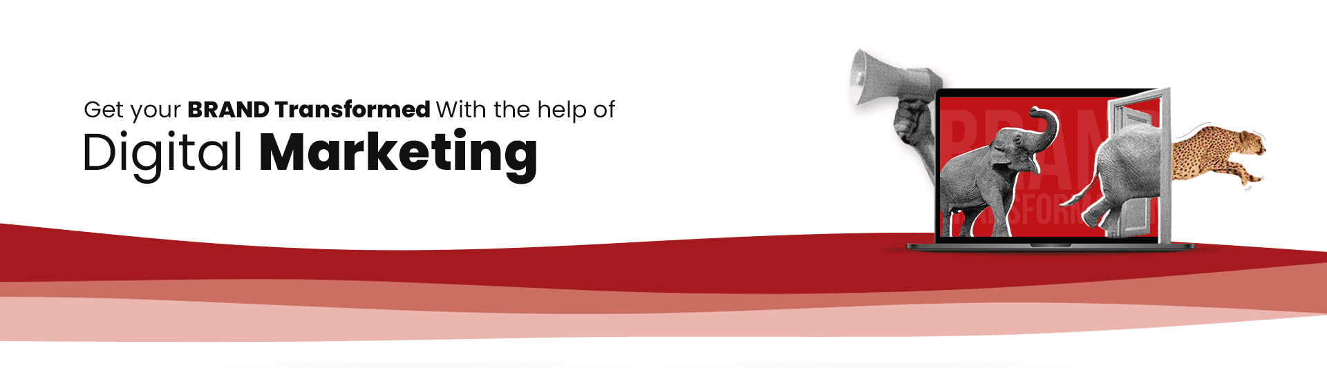 Trusted Digital Marketing Agency With Proven Track Record